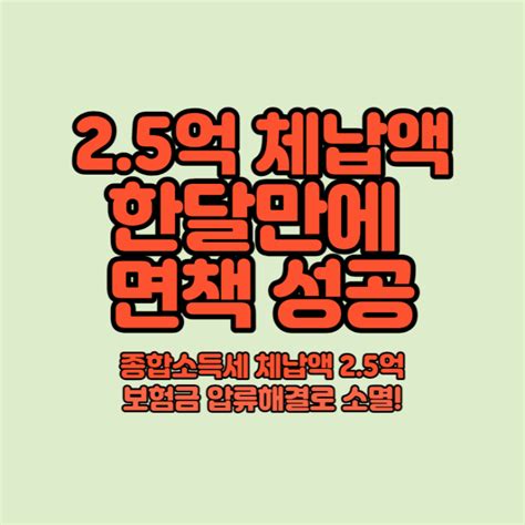 종합소득세 체납 그리고 보험금 압류로 15년간 이어진 체납세금 상담 후 한 달 만에 면책성공 네이버 블로그