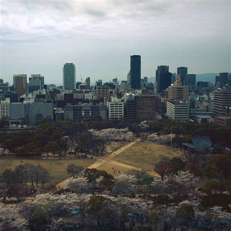 Yip Choon Hong Flickr