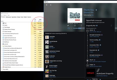 High Memory Usage Memory Leak Resolved Build 216 Support