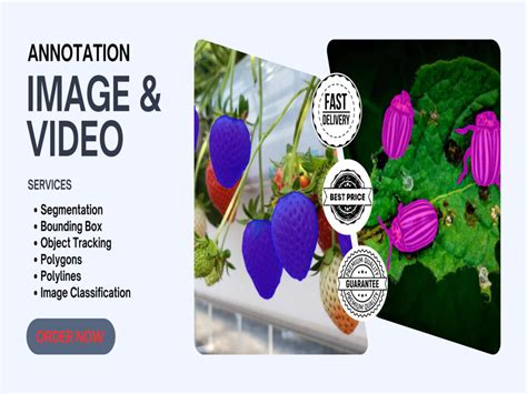 Data Annotation For Your AI And ML Projects Upwork