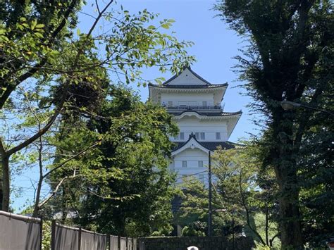 小田原城・samurai館訪問記 天守閣高さランキング 天守閣から石垣山一夜城は方向はどう見える？（神奈川県2022年9月情報） ゆきたびとん🧰