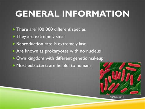Ppt Eubacteria Powerpoint Presentation Free Download Id 2051451