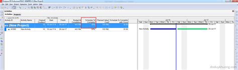 How Does Primavera P6 Calculate Planned Value Cost For Activities