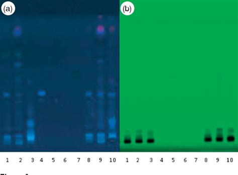 Figure 1 From High Performance Thin Layer Chromatographic Analysis For The Simultaneous