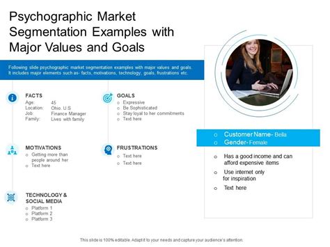 Psychographic Market Segmentation Examples With Major Values And Goals Presentation Graphics