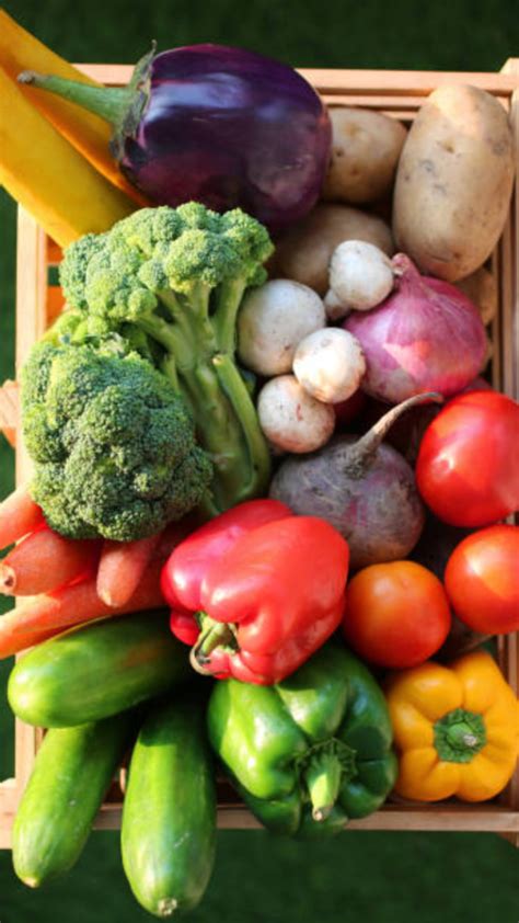 Justice Ajit Kumar Takes Oath As Patna Hc Judge Patna News Times Of India