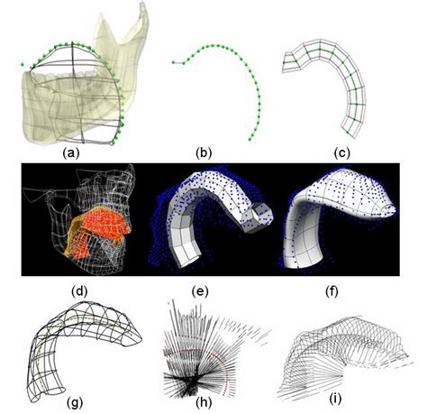 The Procedures Of Fitting A Vocal Tract Mesh Download Scientific Diagram