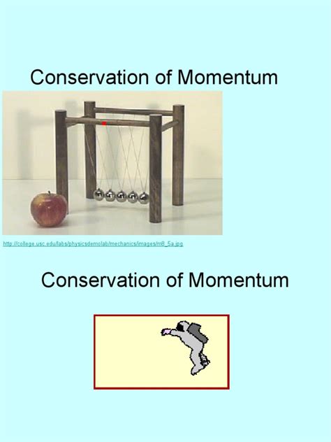 Conservation Of Momentum1 015604 Pdf Momentum Collision