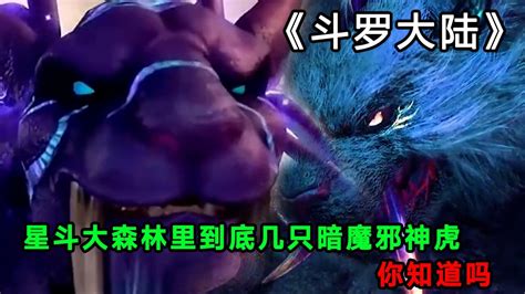 斗罗大陆：星斗大森林里到底几只暗魔邪神虎，你知道吗？腾讯视频