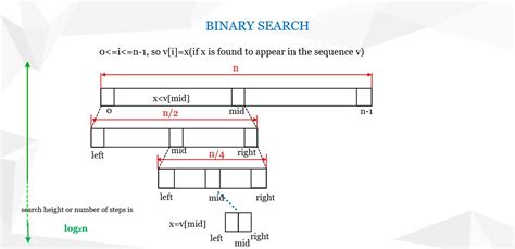 Binary Search Algorithm Svet Programiranja