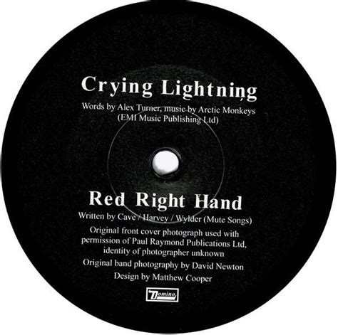 Arctic Monkeys Crying Lightning Kaufen Auf Ricardo