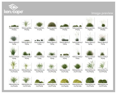 80 Grass Photo Overlays For Photoshop Grass Landscape Plants