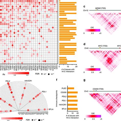Putatively Regulatory Effects Of Ernas On Clinically Actionable Genes Download Scientific
