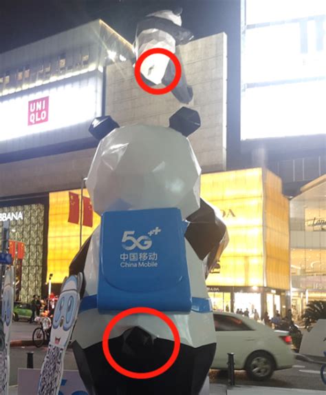 熊猫尾巴什么颜色？据说80 的人都答错…… 知乎