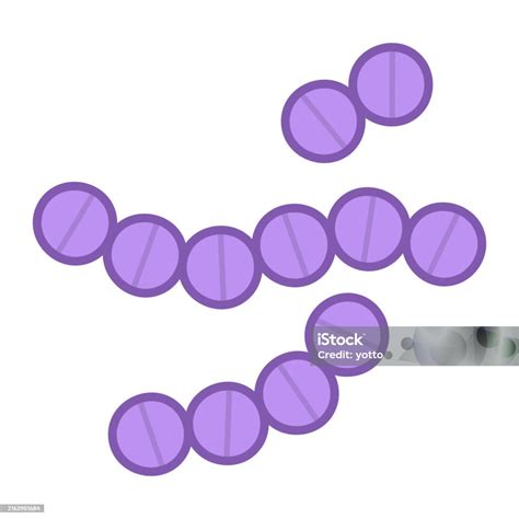 Genus Streptococcus Isolated Vector Illustration Stock Illustration Download Image Now