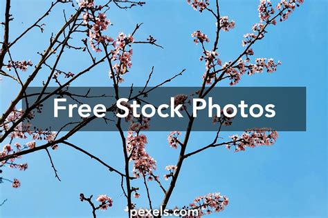 不陈吧一天陈12345 Abc的才你 Photos Download The Best Free 不陈吧一天陈12345 Abc的才你