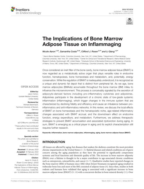 Pdf The Implications Of Bone Marrow Adipose Tissue On Inflammaging
