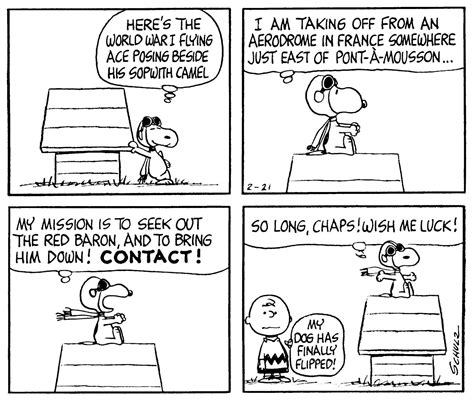 Pin By Sally Plumley On Snoopycharlie Brown Flying Ace Snoopy