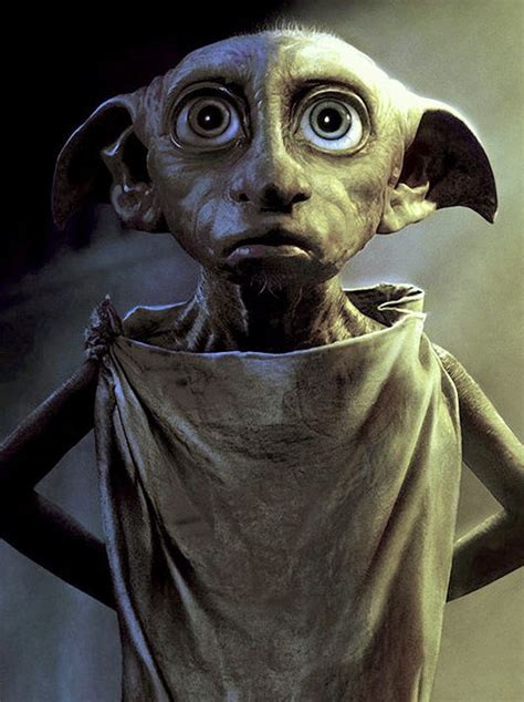 Dobby Harry Potter Lindo