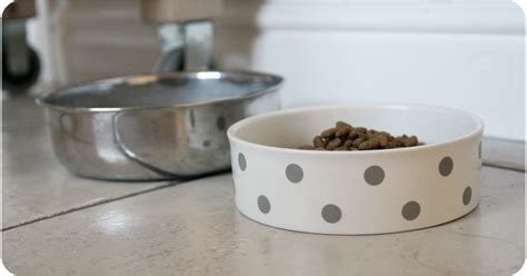 Cucine Che Vanno E Cucine Che Vengono