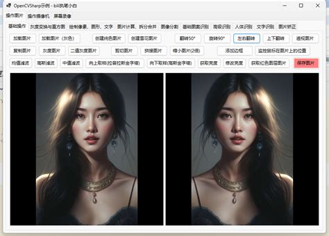 C OpenCV基础 四 旋转翻转透视 执笔小白 博客园