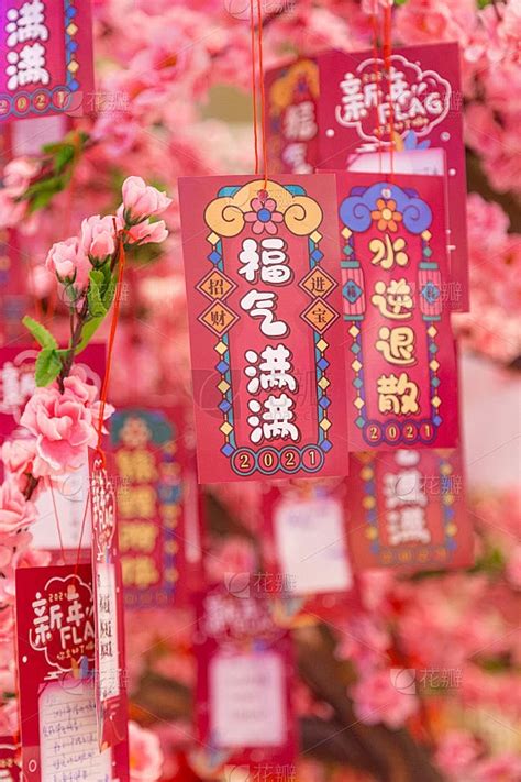 圣诞树上挂着写有新年愿望的卡片素材 花瓣网 圣诞树上挂着写有新年愿望的卡片素材 花瓣网