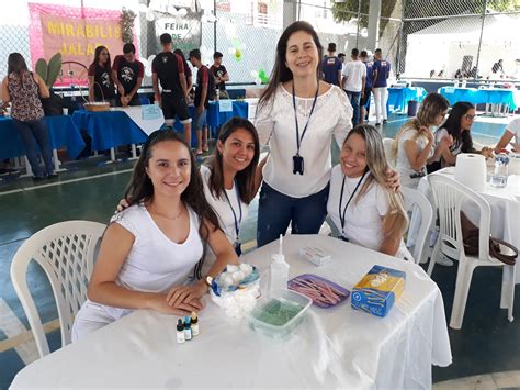Vi Feira De Ciências Do Colégio Estadual Luiz Viana Filho Em Guanambi