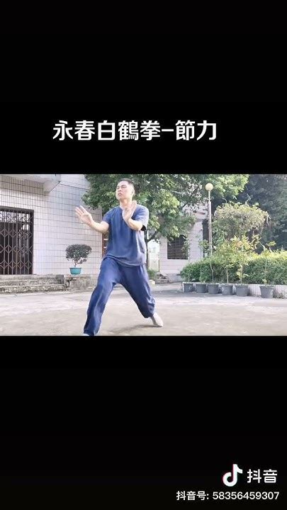 永春白鹤拳 节力 Youtube