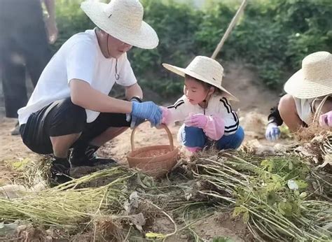 拒绝娇生惯养王楠带儿女下地干农活富豪老公体验收获的喜悦 王楠 郭斌 乒坛 新浪新闻