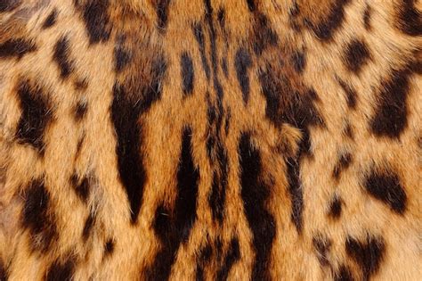 Полный кадр кожи леопарда Премиум фото