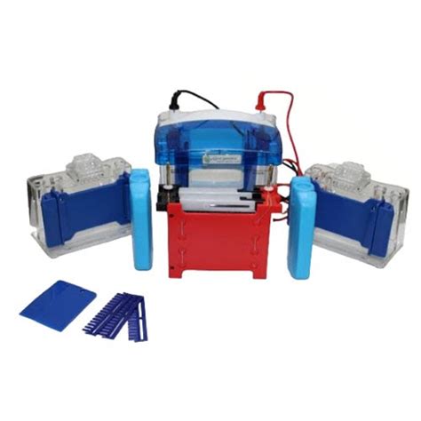 IGene Labserve Difference Between Vertical And Horizontal Gel