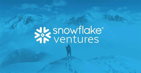 Jake Piela Lee On Linkedin Snowflake Invests In Matillion To Bring Native Connectors To The