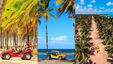 Passeio De Buggy Em Porto De Galinhas Ponta A Ponta Ou Tradicional