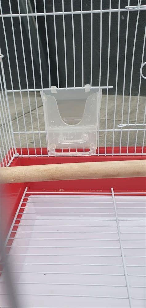 Colivie Pentru Pasari Brasov • Olx Ro