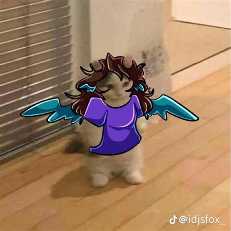 Jaidenanimationz Cat Jaiden Animations Character Art Animation