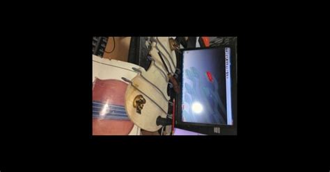 Polygonica Polygonica Software Helped Recreate A 400 Year Old Viola