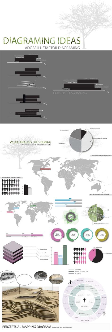 Visualization Course Adobe Illustrator Diagramming Professor Arpad Daniel Ronaszegi