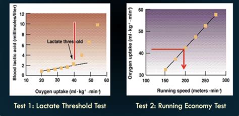 Hes 211 Exam 4 Chapter 16 Part 1 Hes 211 Exam 4 Chapter 16 Part 2 Hes 211 Exam 4