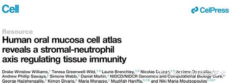 Cell解析牙周炎发生机制：基质细胞过度活化募集中性粒细胞致病 知乎