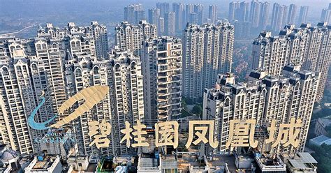 碧桂園系遭點名資金緊 股債重創摩通報告提三警號 狠削目標價