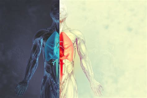 과학적 배경에 인간의 폐와 심장3d 일러스트 폐암에 대한 스톡 사진 및 기타 이미지 폐암 건강관리와 의술 추상적인
