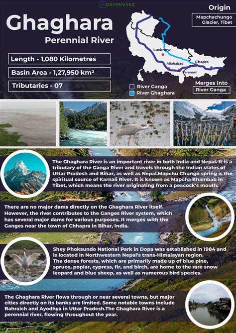 Infographics Of Ghaghara Greenverz