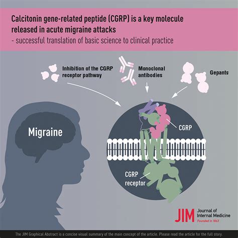 Calcitonin Gene‐related Peptide Cgrp Is A Key Molecule Released In