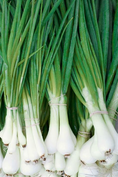 10 Foods To Eat Before Sex Artofit