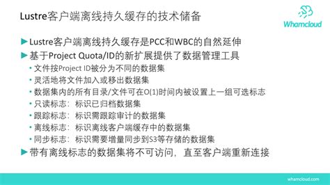 Lustre文件系统：技术路线及前景展望 轻识
