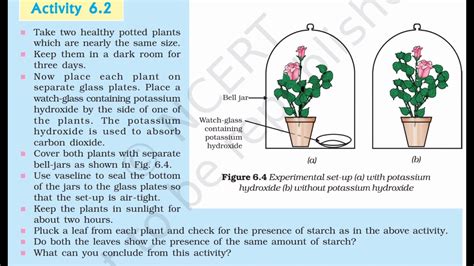 Class 10th Science Life Process Activity 62to Show That Co2 Is