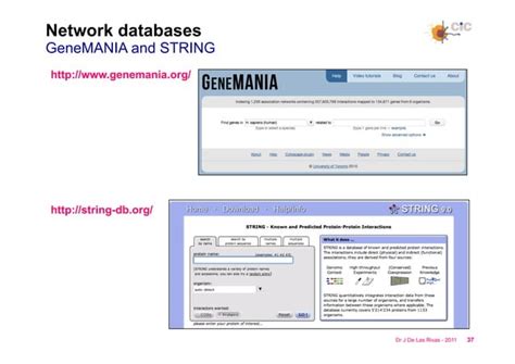 Cytoscape Integrating Biological Networks Ppt Free Download