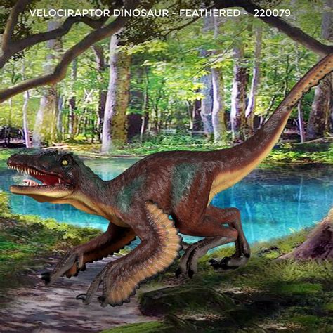 Dinosaurs Velociraptor