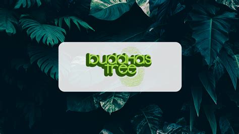 Buddhas Tree Nutrient Range Complete Guide