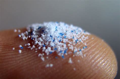 Le Microplastiche Sono Nel Nostro Corpo Ma Quanto Sono Dannose Per La Salute Umana National